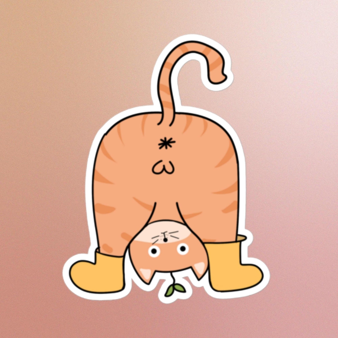 Cat Showing Balls Sticker, Funny, Cute, Boots, Orange, Playful ...