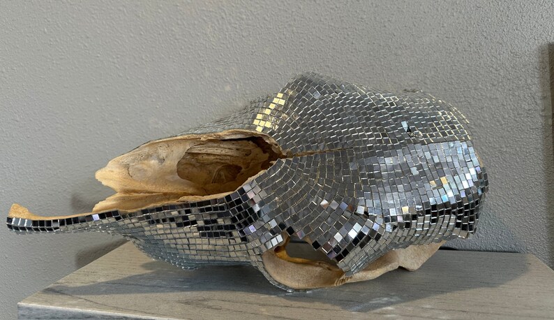 Disco Ball Cow Skull, Boho, Sparkle, Disco, Gems, Western Decor ...