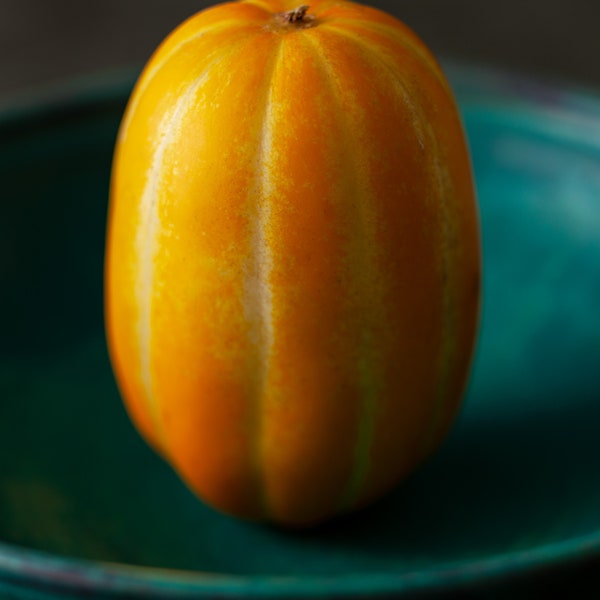 Orange Still Life - Etsy
