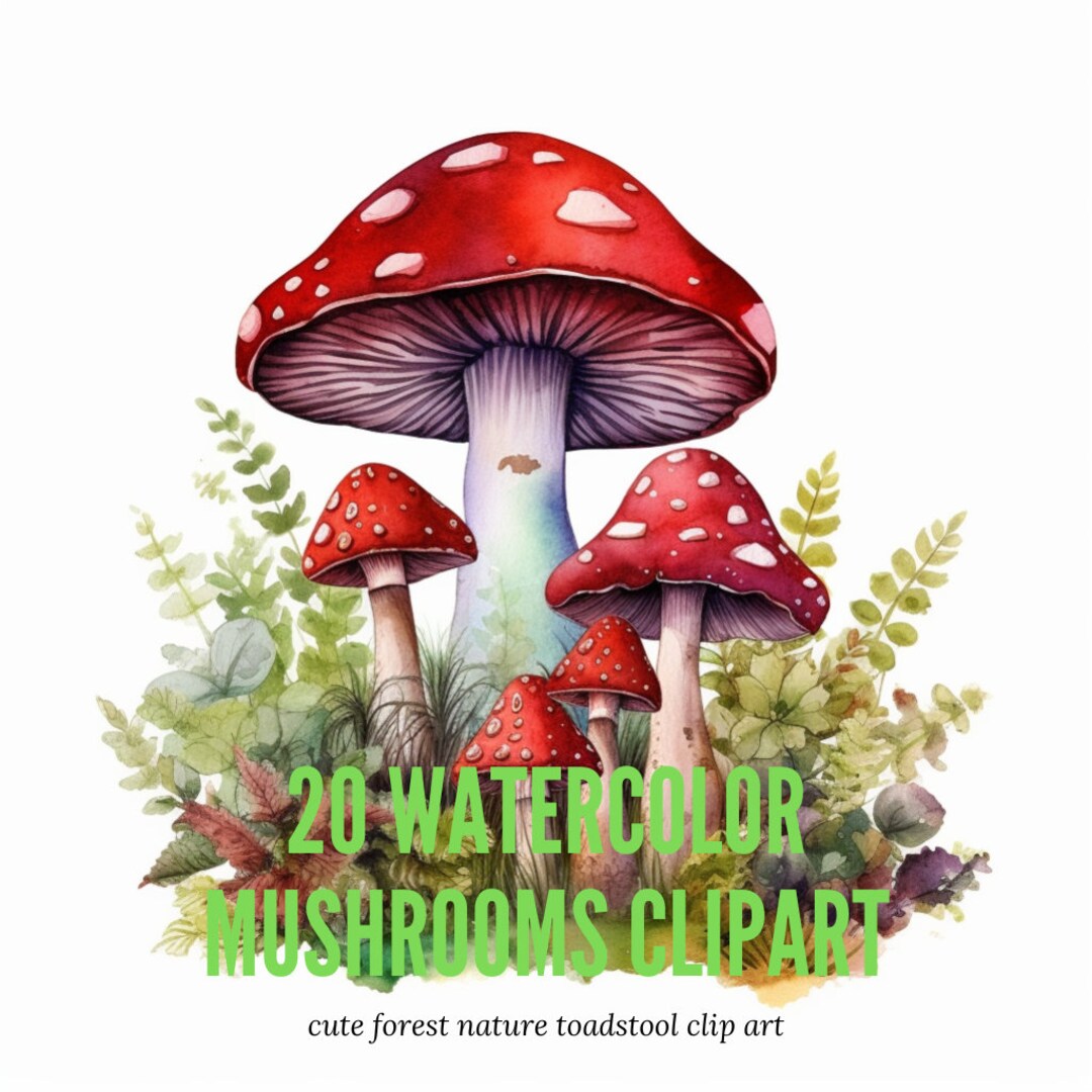 Watercolor Mushrooms Clipart - Cute Forest Nature Toadstool Clip Art 20 ...
