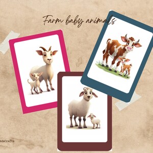 FARM BABY ANIMALS • 30 Editable Montessori Cards • Flash Cards ...