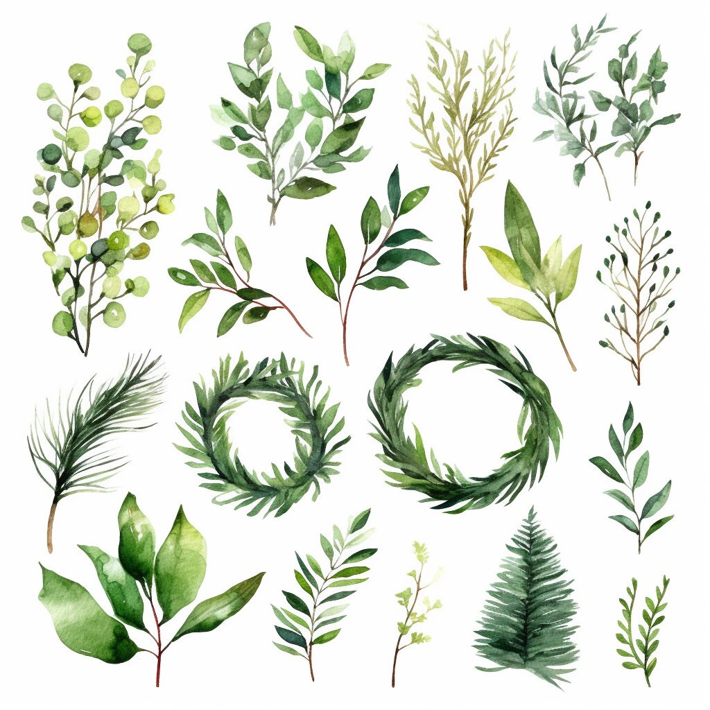 Watercolor Greenery Clipart Greenery Foliage Greenery Arrangements ...