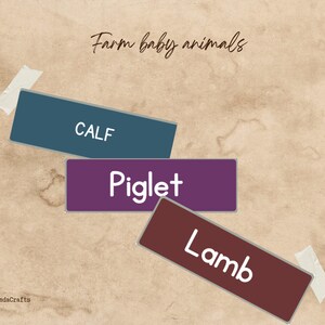 FARM BABY ANIMALS • 30 Editable Montessori Cards • Flash Cards ...