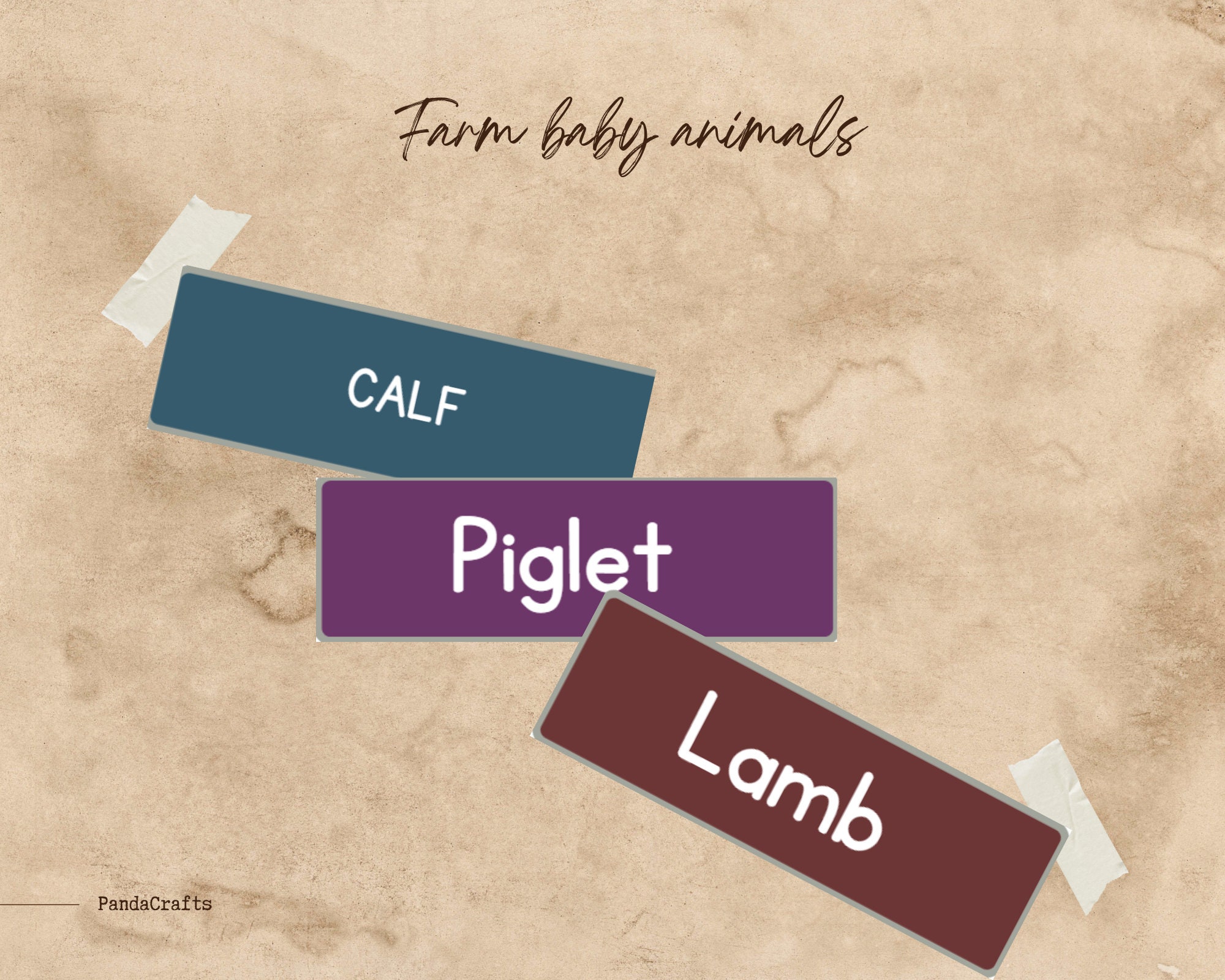 FARM BABY ANIMALS • 30 Editable Montessori Cards • Flash Cards ...