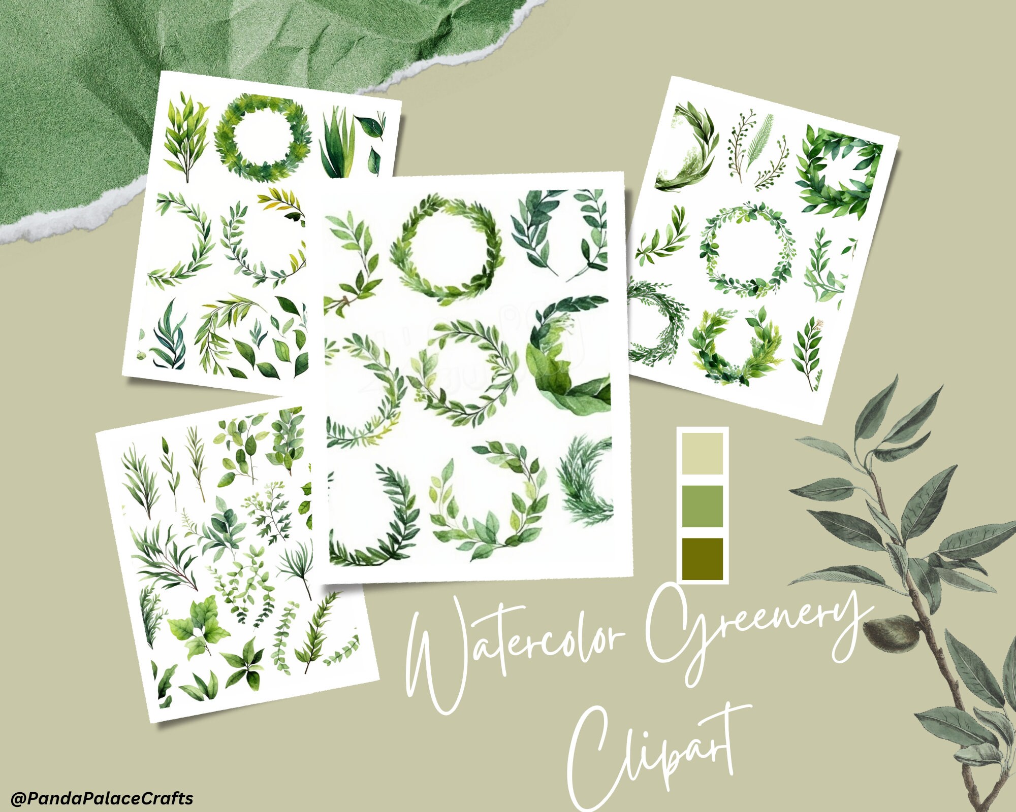 Watercolor Greenery Clipart - Greenery Foliage - Greenery Arrangements ...