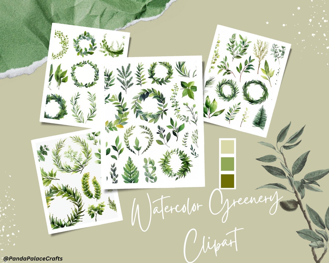 Watercolor Greenery Clipart - Greenery Foliage - Greenery Arrangements ...