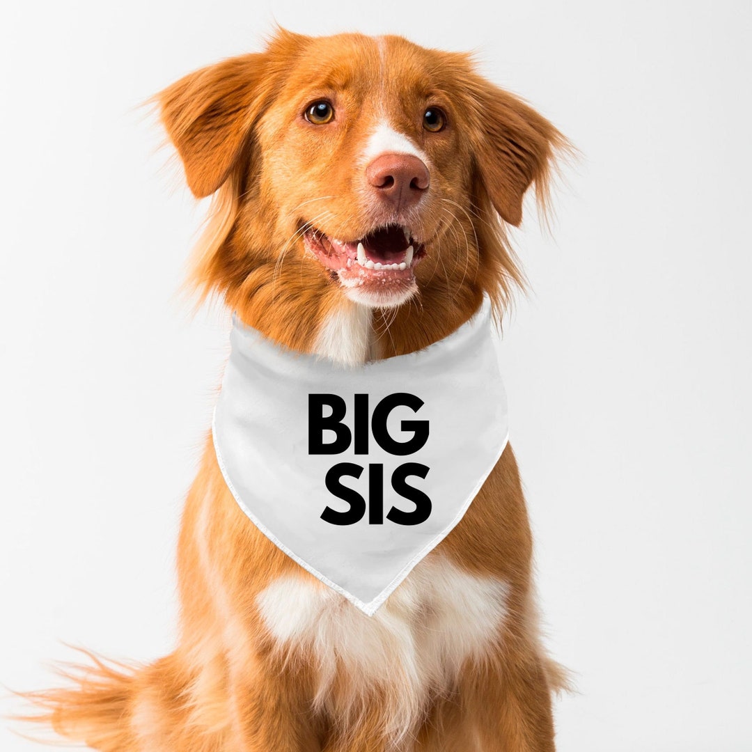 Big Sis or Big Bro Dog Bandana for Baby Announcement Birth Announcement ...