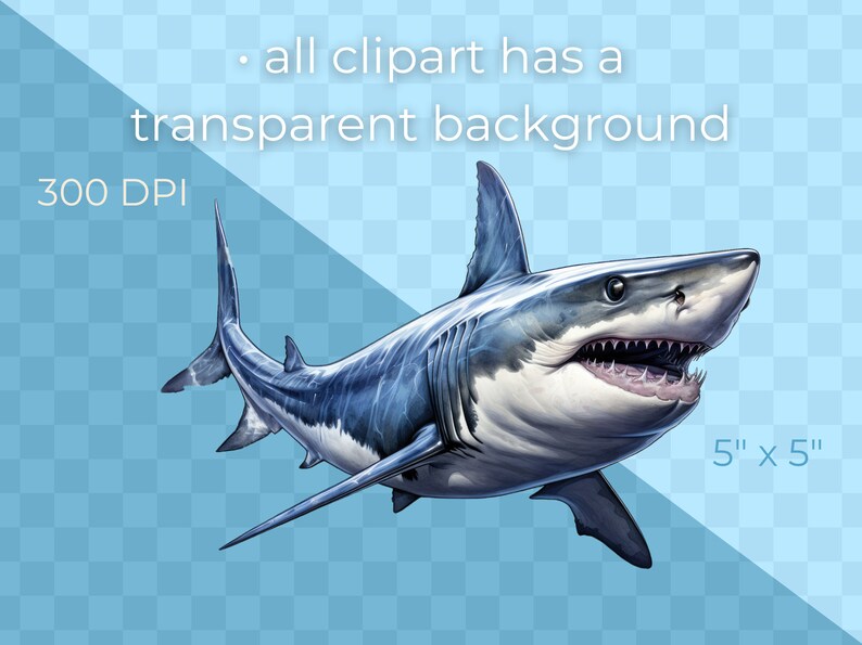 21 PNG Shark Week Clipart Bundle, Ocean Clipart, Under the Sea Png ...