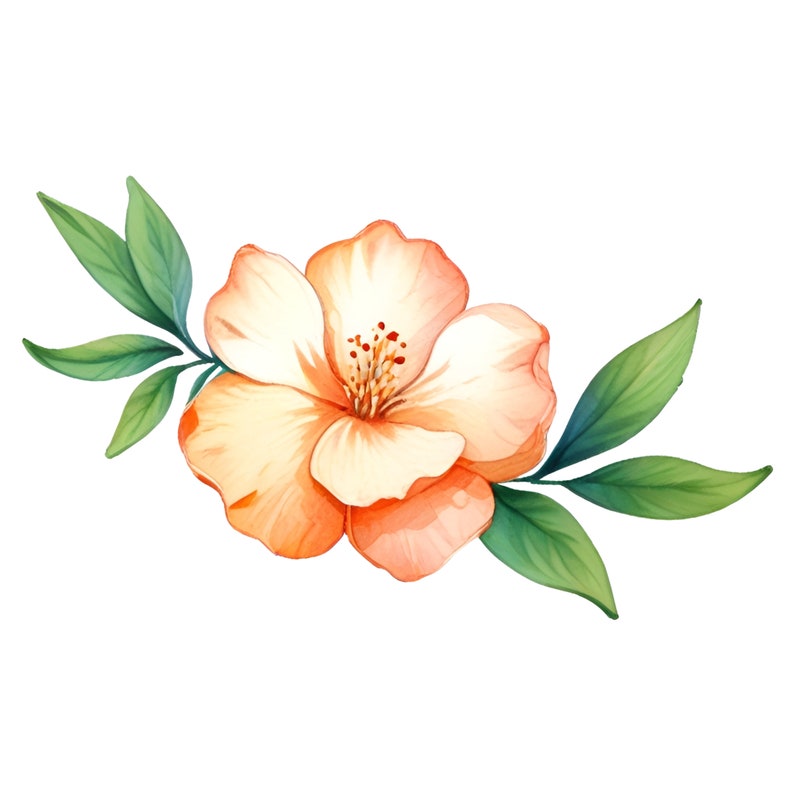 Watercolor Peach Flower Clipart Collection, Flower Bouquet, Peach ...