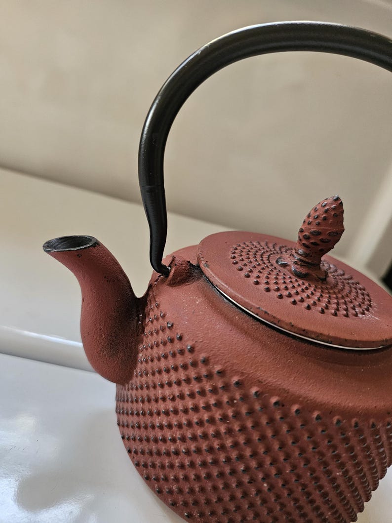 Vintage Japanese Style Red Cast Iron Teapot 2.5 Cup With Enameled ...