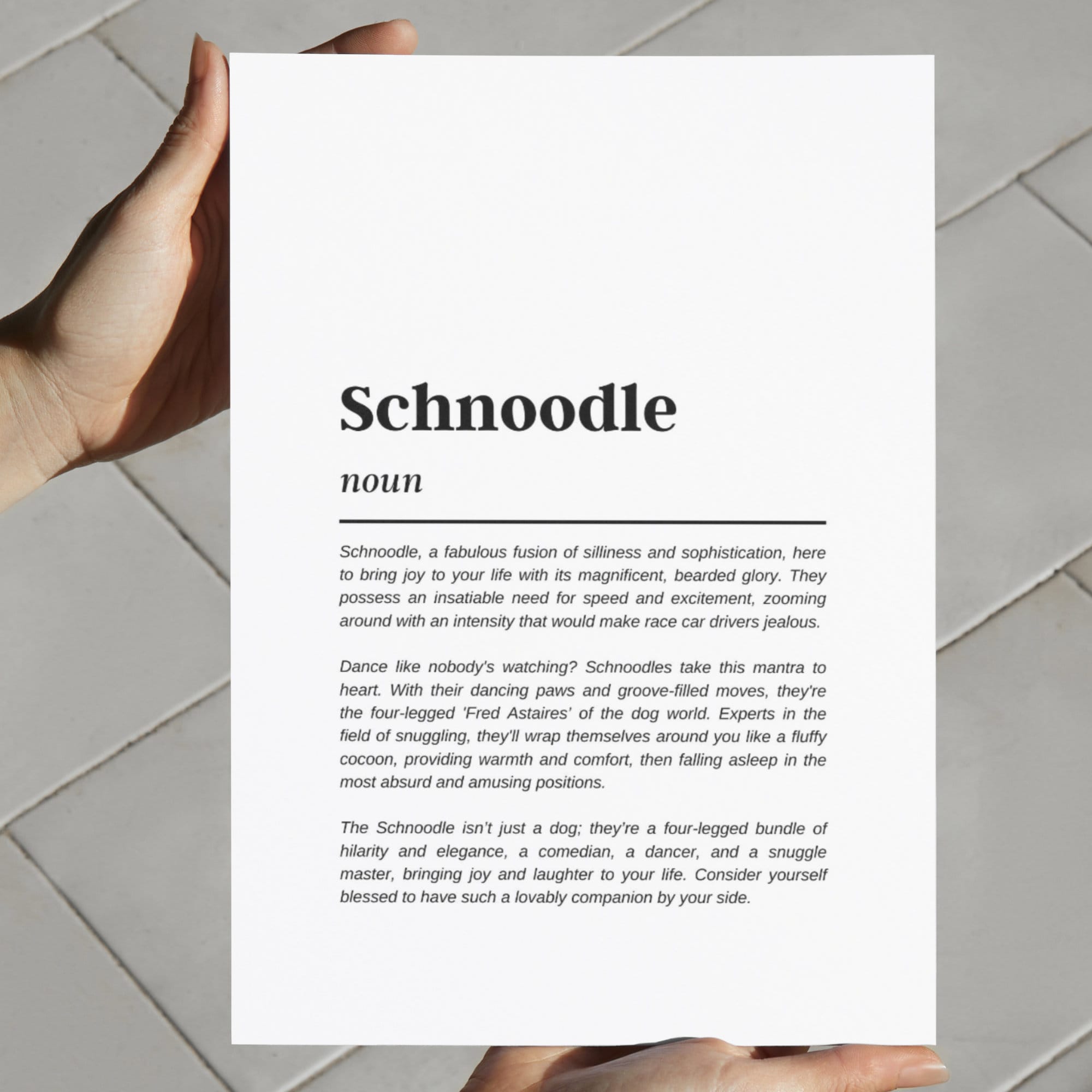 Schnoodle Schnoodle Funny Definition Print Schnoodles - Etsy