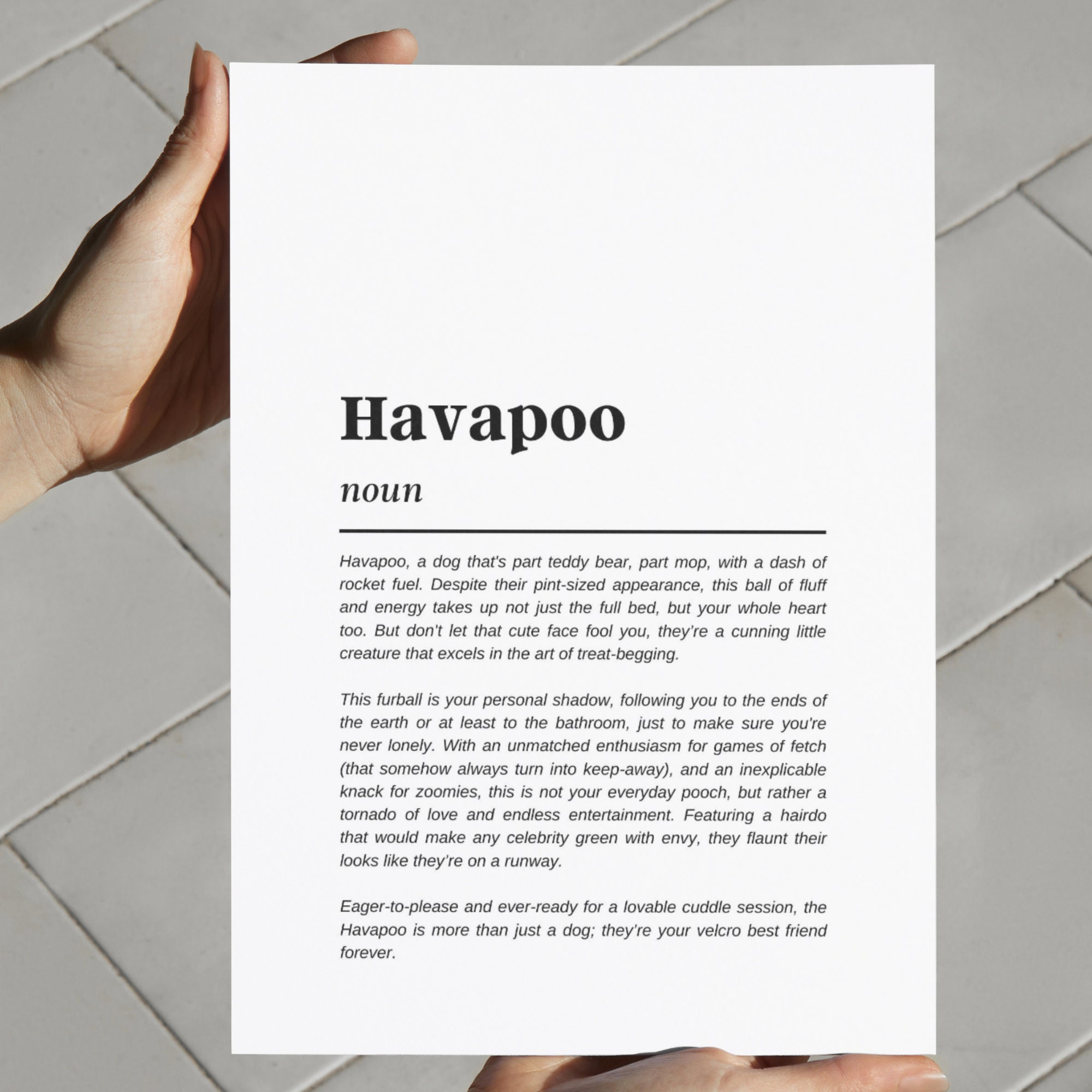 Havapoo, Havapoo Funny Definition Print, Havapoo Dog, Havapoo Gift ...