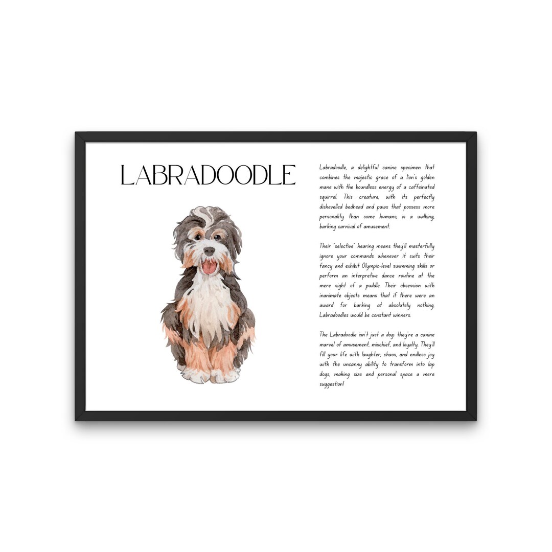 Labradoodle, Labradoodle Definition Print, Labradoodles, Labradoodle ...