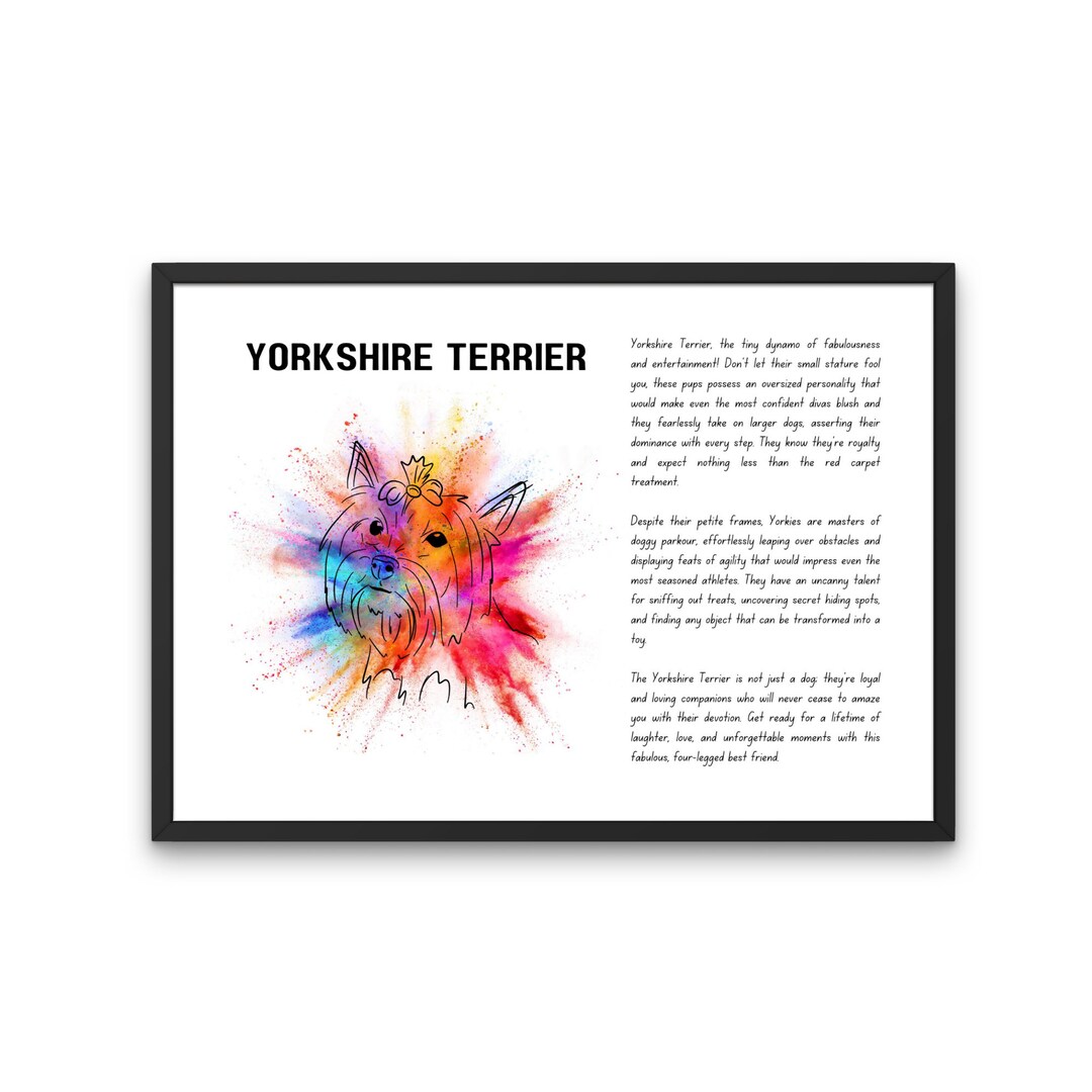 Yorkie, Yorkshire Terrier lustige Definition Druck, Yorkshire Terrier ...
