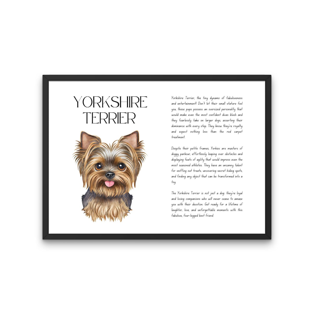 Yorkie, Yorkshire Terrier Funny Definition Print, Yorkshire Terrier ...