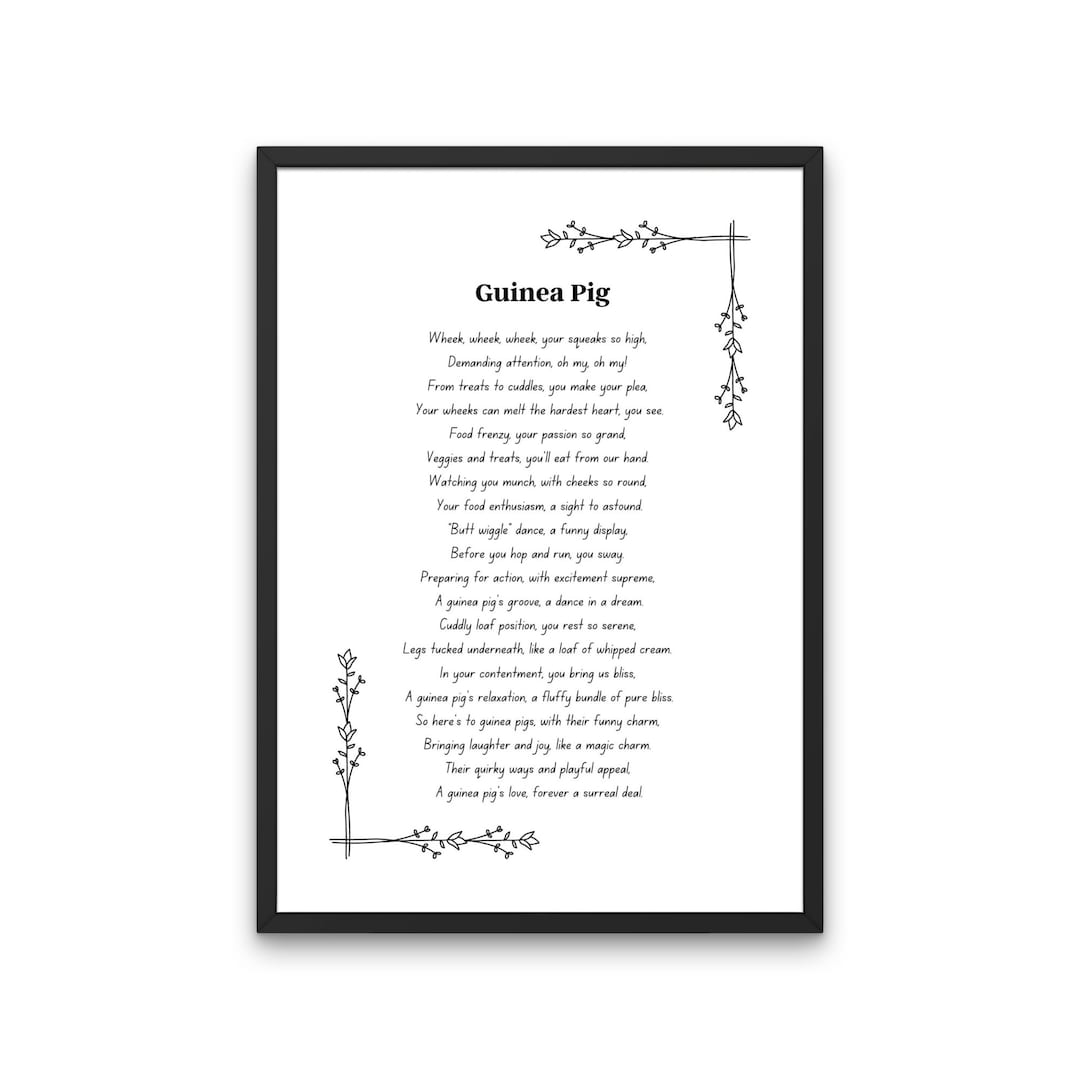Guinea Pig, Guinea Pig Funny Poem Print, Guinea Pigs, Cute Guinea Pig ...
