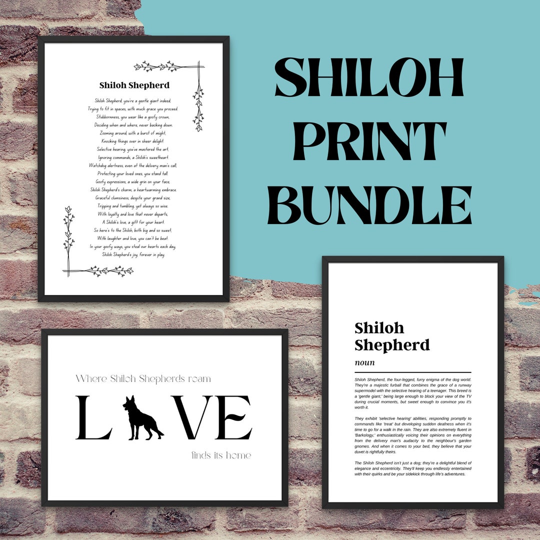 Shiloh Shepherd, Shiloh Shepherd 3 Print Bundle, Shiloh, Shiloh ...