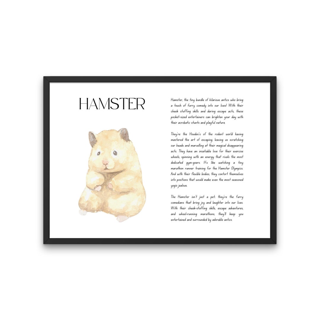 Hamster, Hamster Funny Definition Print, Digital Download, Hamster Gift ...