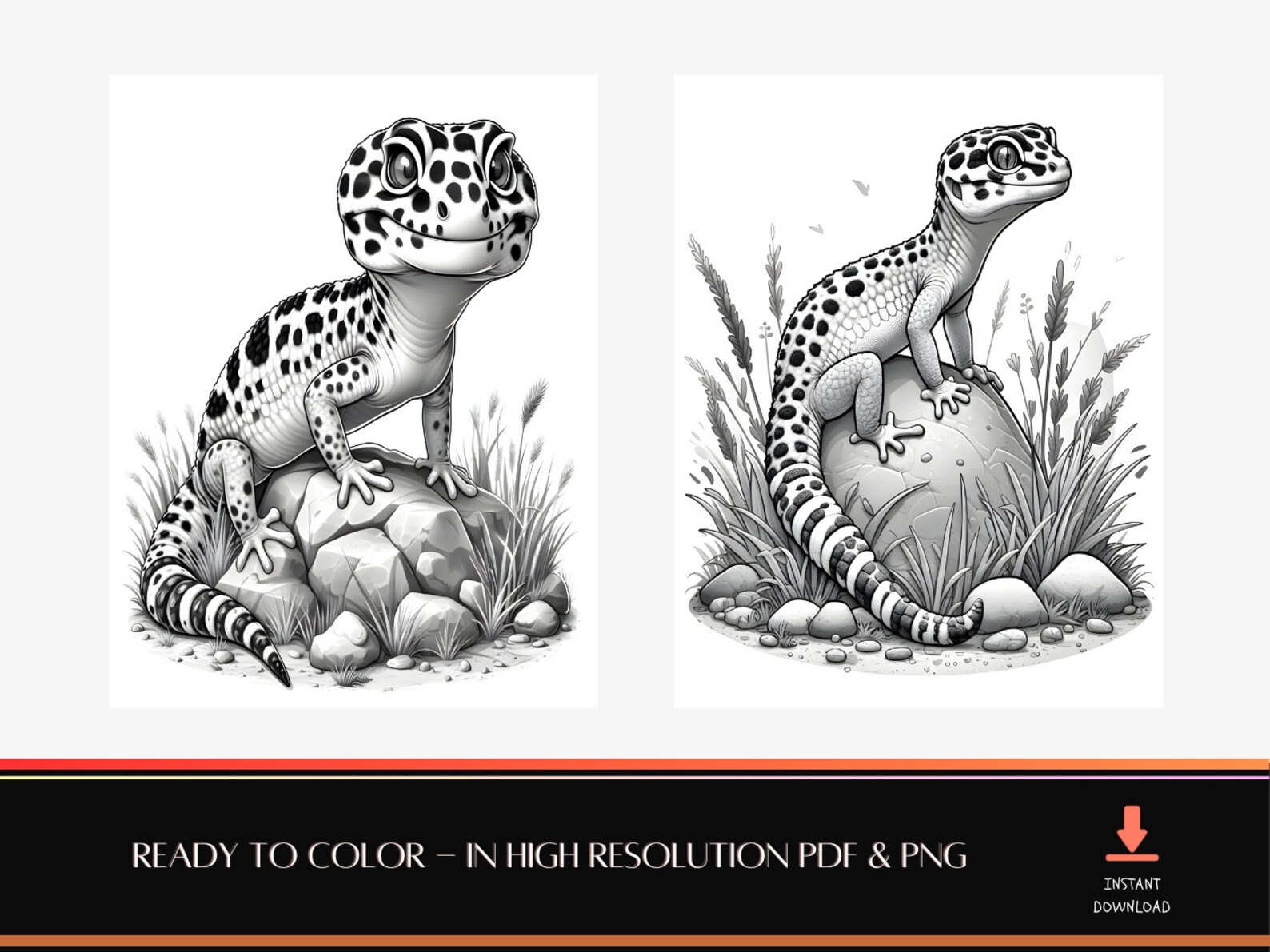 10 Leopard Gecko Coloring Pages Coloring Page for Adults and Kids ...