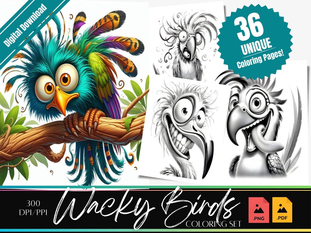 3 Wacky Birds Adult Coloring Book | Digital Download | PDF Download ...