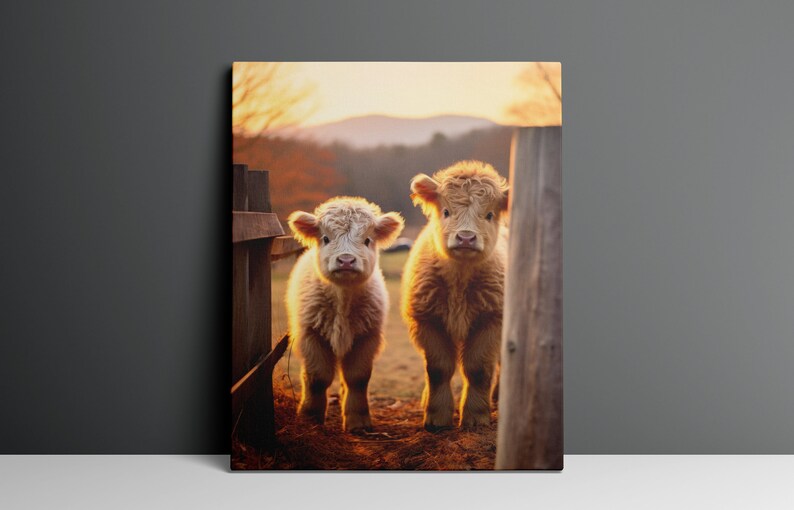 Highland Cows Sunlit Portrait Farmhouse Highland Cow Portrait Cow ...