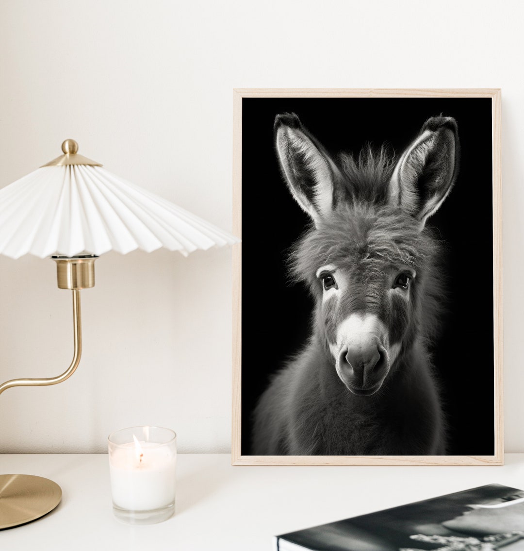 Baby Donkey Poster, Black White Donkey Printable, Nursery Farm Photo ...