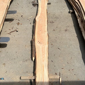 Live Edge Honey Locust - Sku# 20263-35 - Etsy