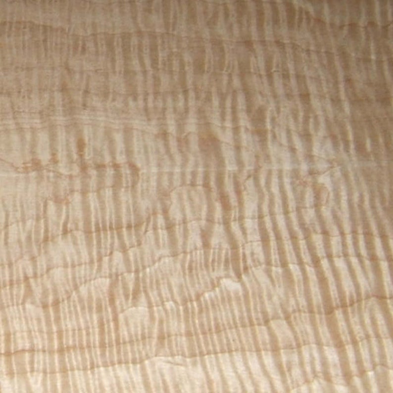 4/4 Curly Maple Hardwood Lumber Top Grade FAS - Etsy