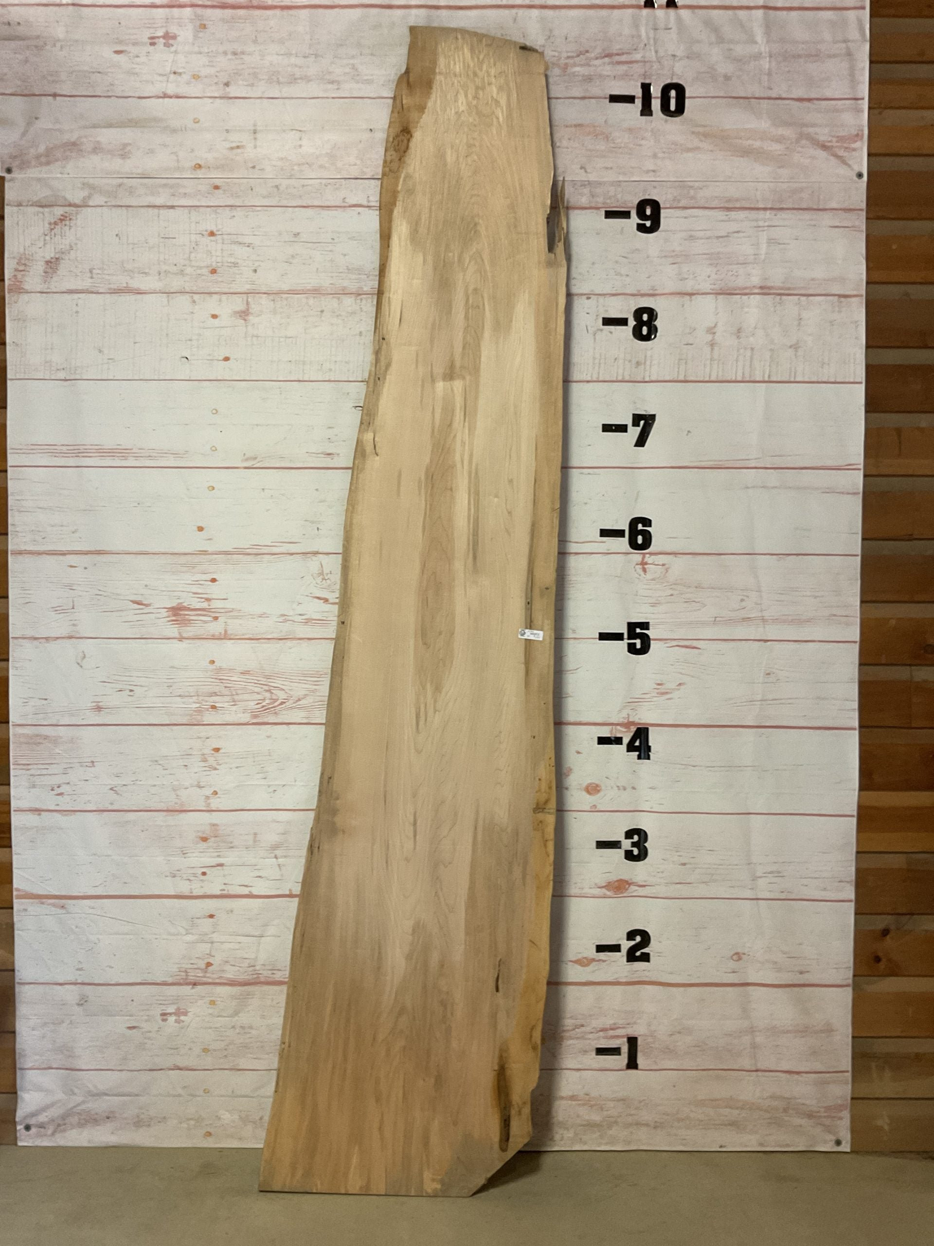 Live Edge Maple – Sku# 19388 | mgmforex.com