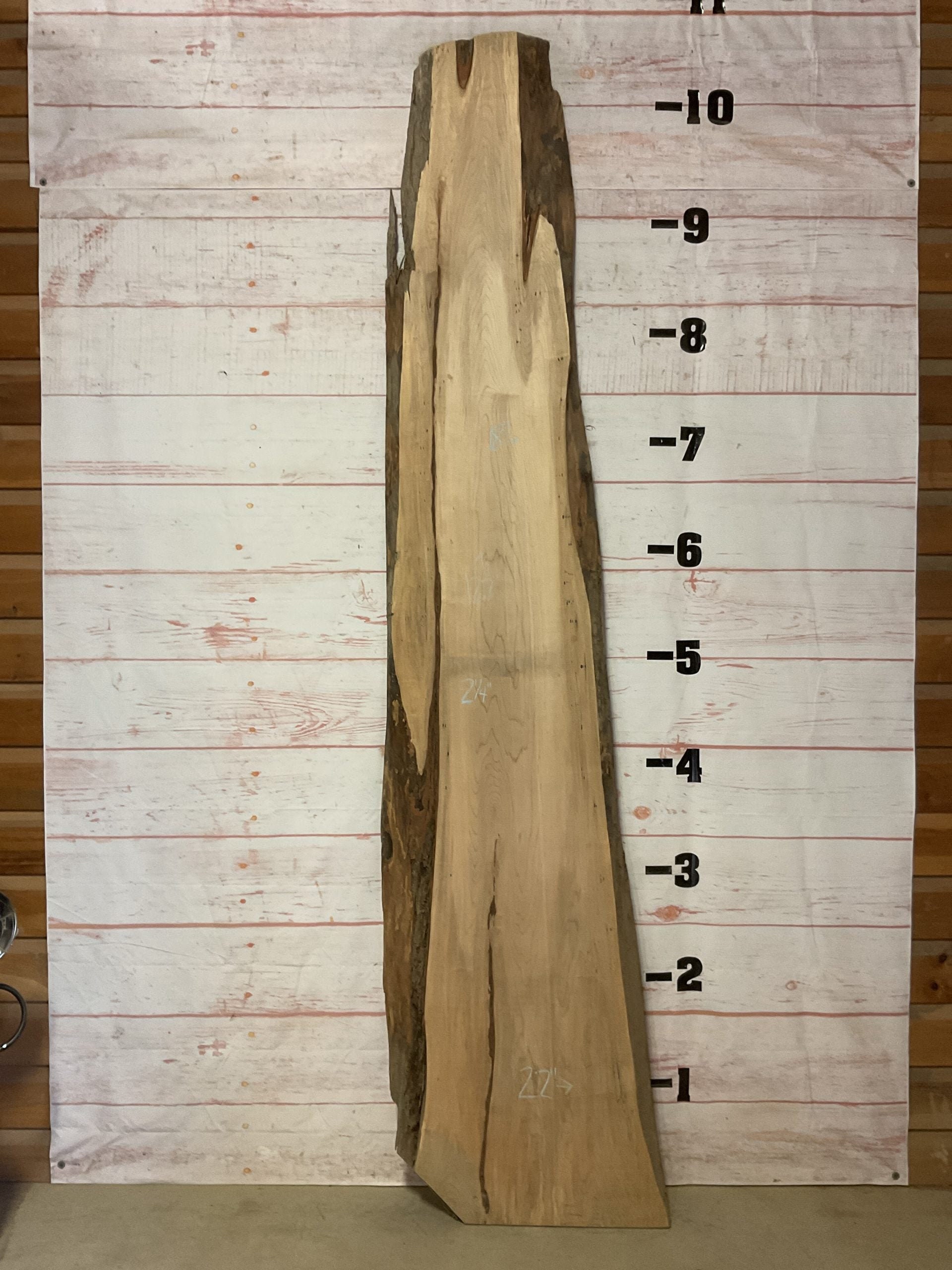 Live Edge Maple – Sku# 19388 | mgmforex.com