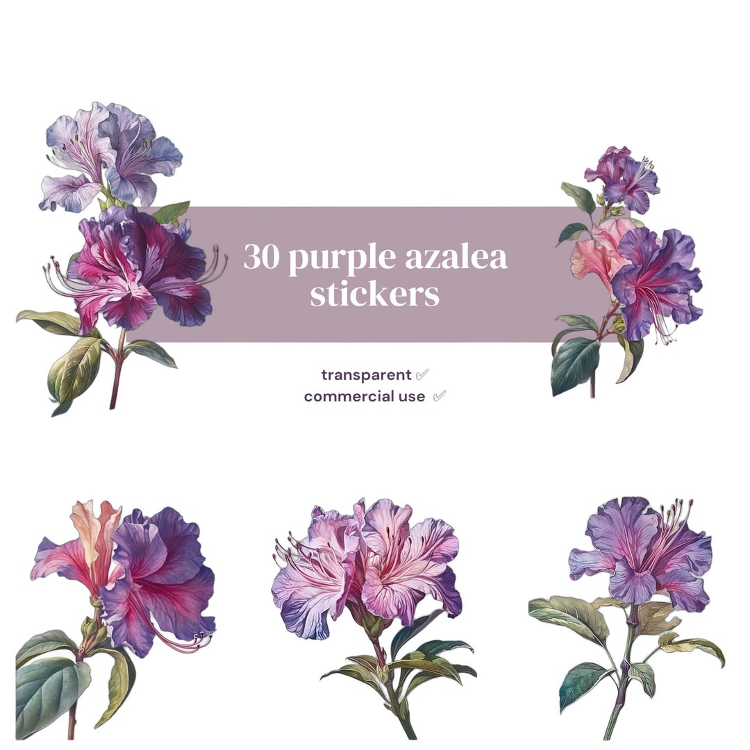 Purple Azaleas Stickers 30 Transparent Pngs Floral Azaleas, Flowers and ...