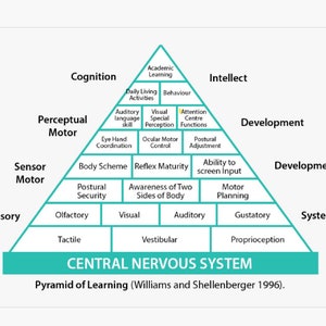 3 Page Summary; PDA Information Sheet. Made for Teachers, Educators ...