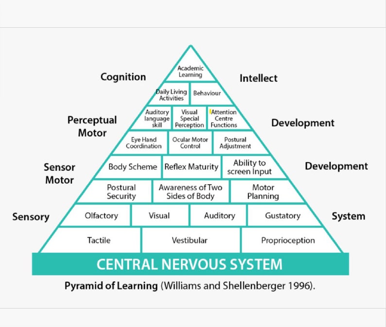 3 Page Summary; PDA Information Sheet. Made for Teachers, Educators ...