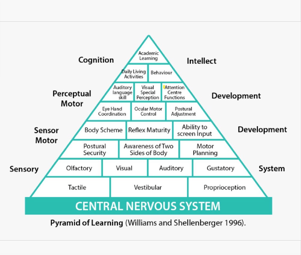 3 Page Summary; PDA Information Sheet. Made for Teachers, Educators ...