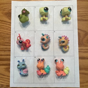 Hasbro Littlest Pet Shop Turtle, Snail, Hermit Crab, Seahorse ...