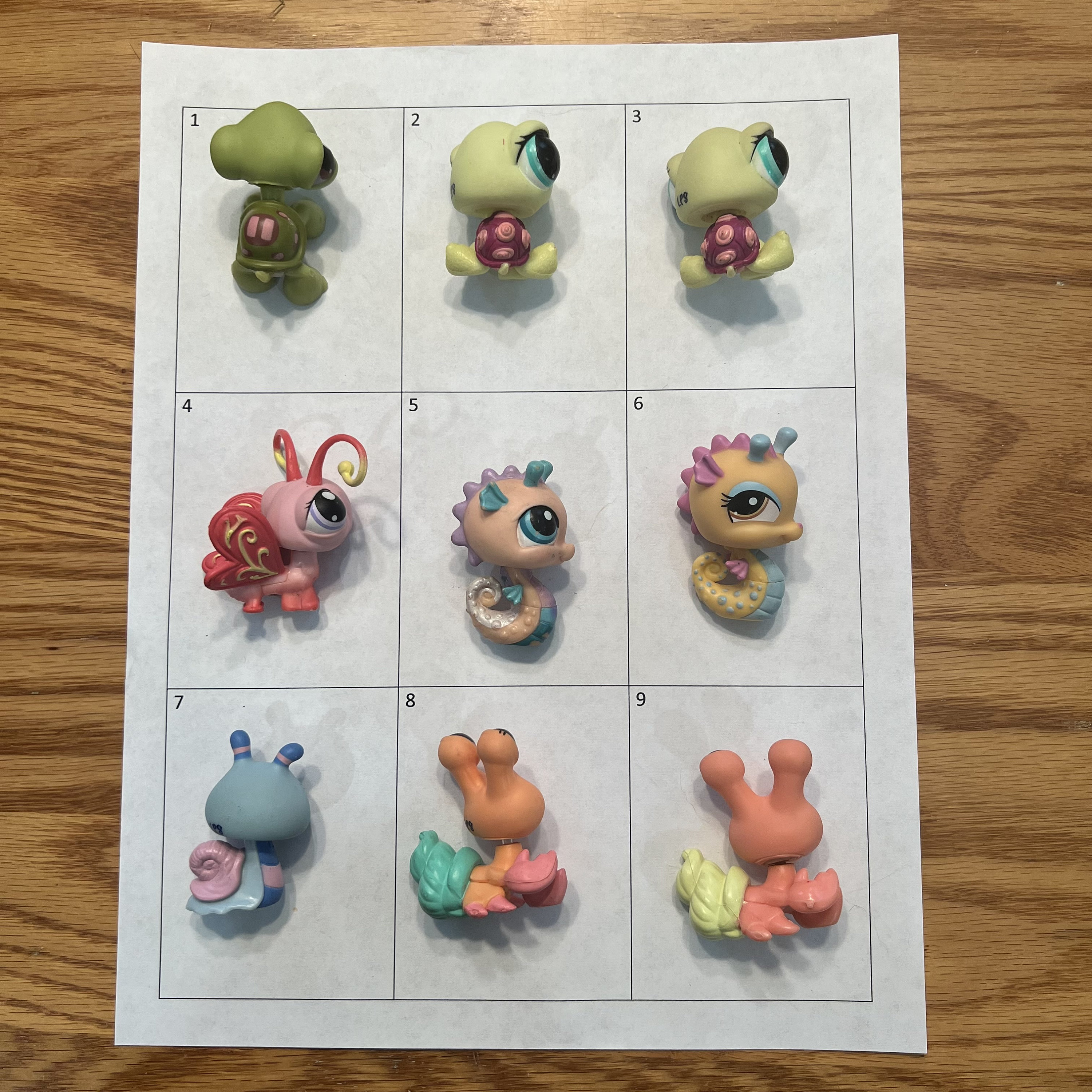 Hasbro Littlest Pet Shop Turtle, Snail, Hermit Crab, Seahorse ...