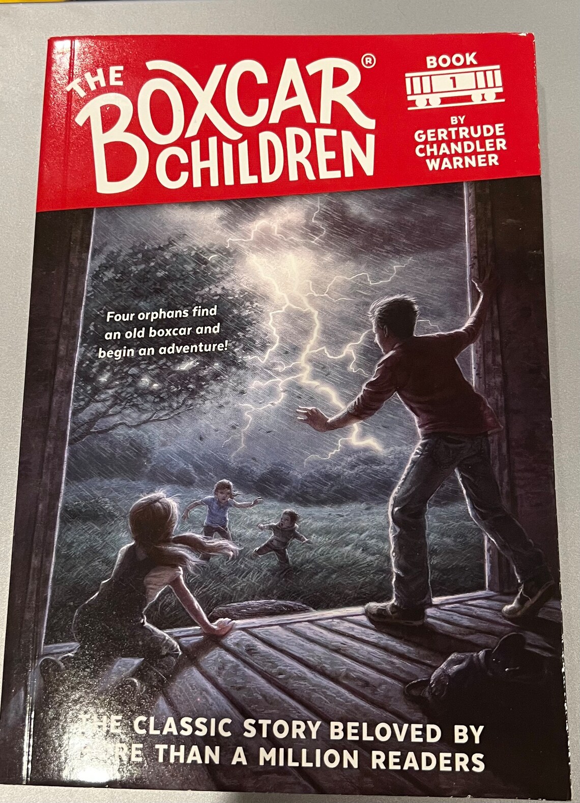 Boxcar Children Books by Gertrude Chandler Warner, Vintage Illustrated ...