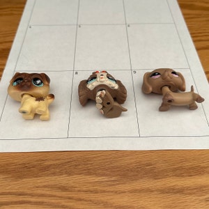 Hasbro Littlest Pet Shop Dogs, You Choose Authentic LPS - Etsy