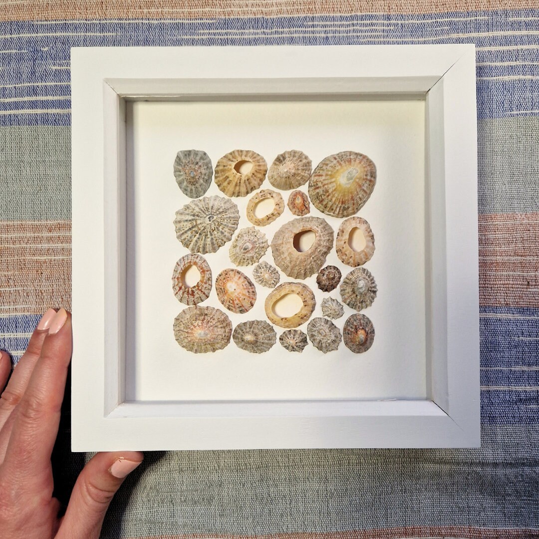 Scottish Beach Combing, Framed Wall Art, Coastal Decor, Natural Gift ...