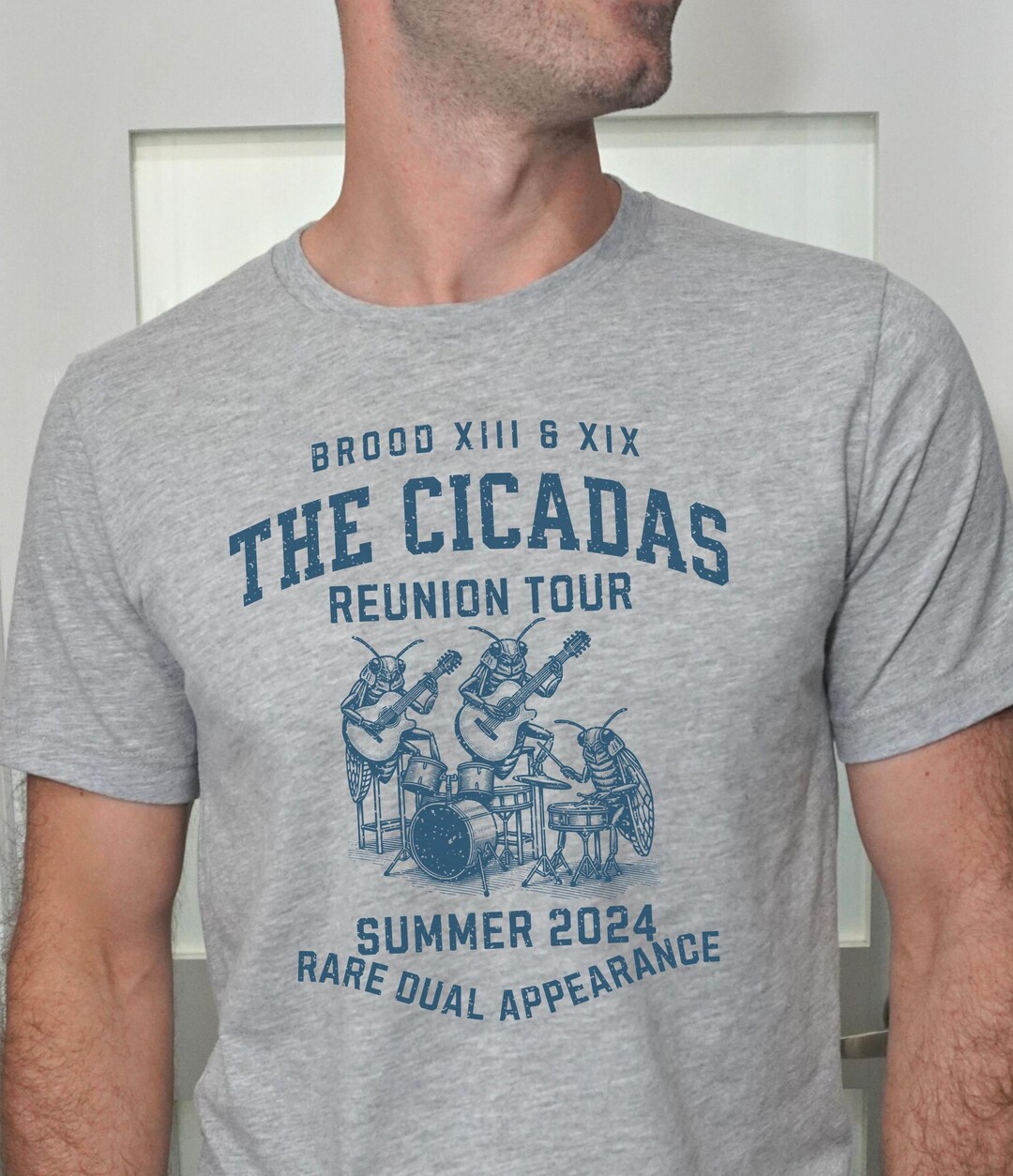 Cicadas Concert Shirt, Reunion Summer 2024, Cicada Concert Tshirt ...