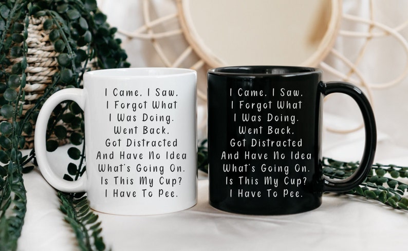 I Came I Saw I Forgot Mug, Funny Senior Citizen Gift, Sarcastic Coffee ...