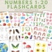 Number Flashcards, Numbers 1-20 Cards, Flash Cards, Preschool ...