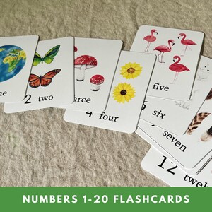Number Flashcards, Numbers 1-20 Cards, Flash Cards, Preschool ...