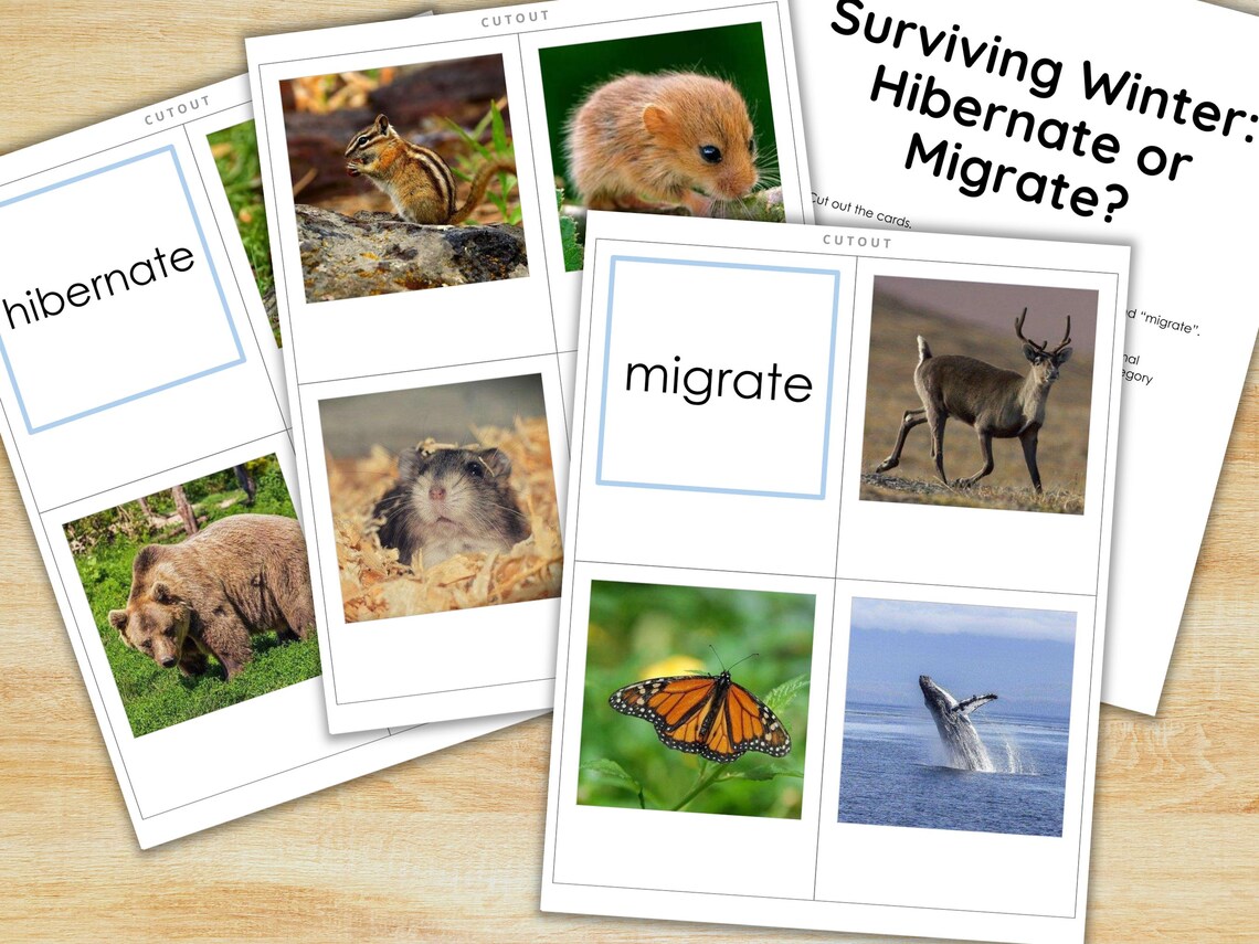 Winter Unit Study, Winter Activity Bundle, Winter Learning, Winter ...