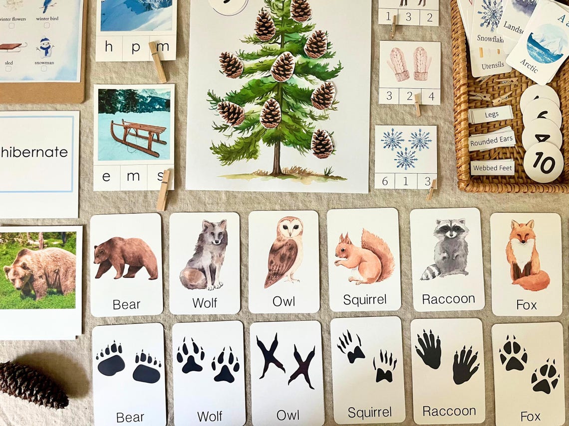 Winter Unit Study, Winter Activity Bundle, Winter Learning, Winter ...