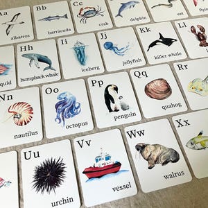 Ocean Alphabet Flashcards, Printable ABC Flashcards, Ocean Animals ...