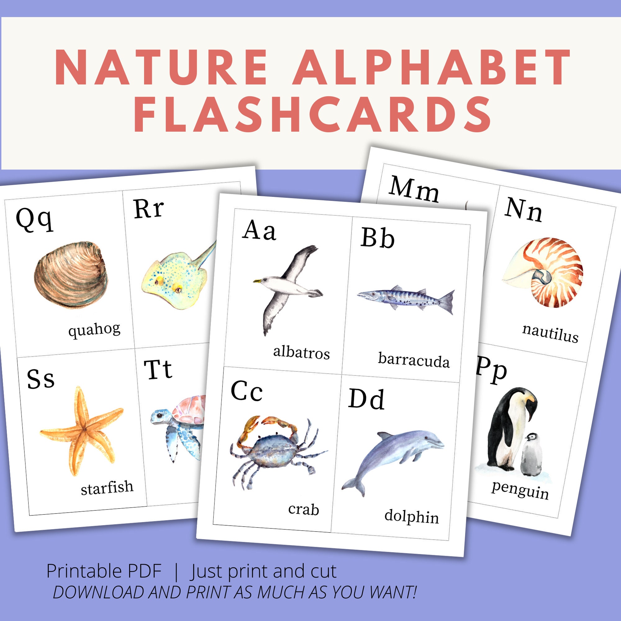 Ocean Alphabet Flashcards Printable ABC Flashcards Kids - Etsy