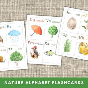 Nature Alphabet Flashcards: Watercolor ABC Cards (printable) - Etsy