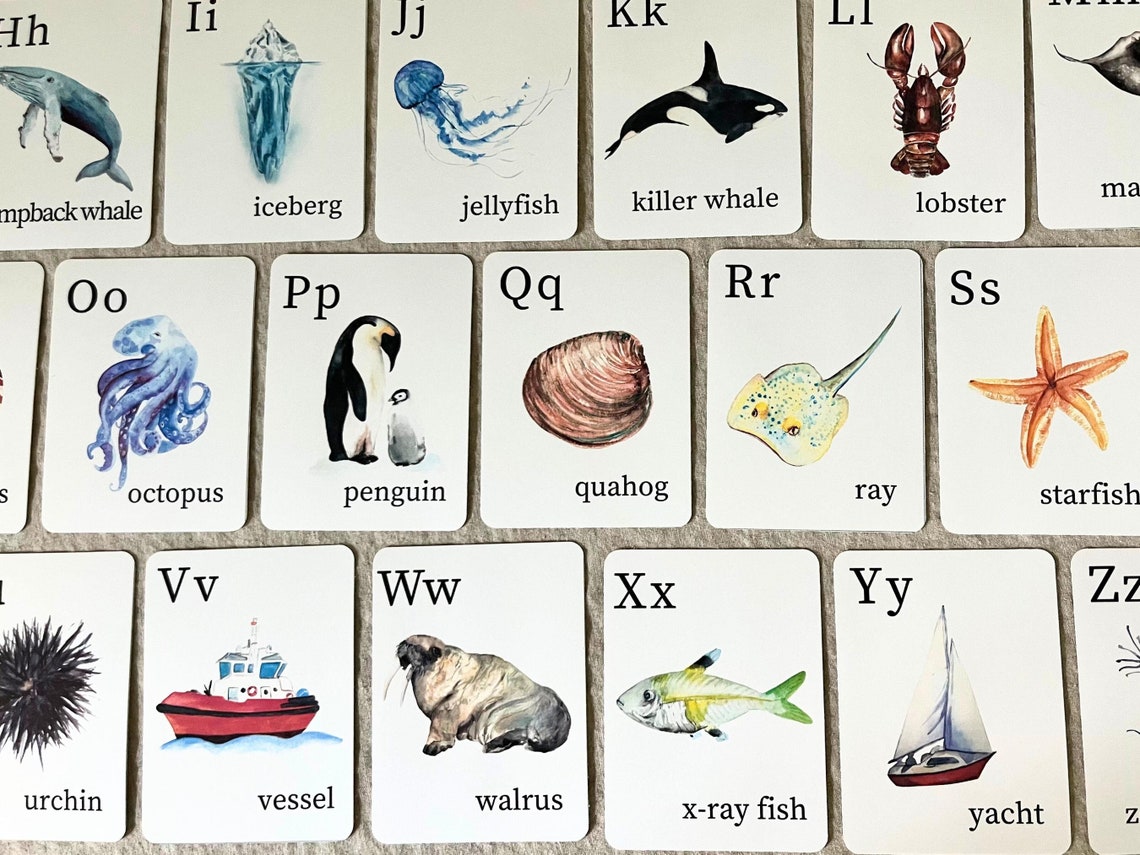 Ocean Alphabet Flashcards, Printable ABC Flashcards, Ocean Animals ...