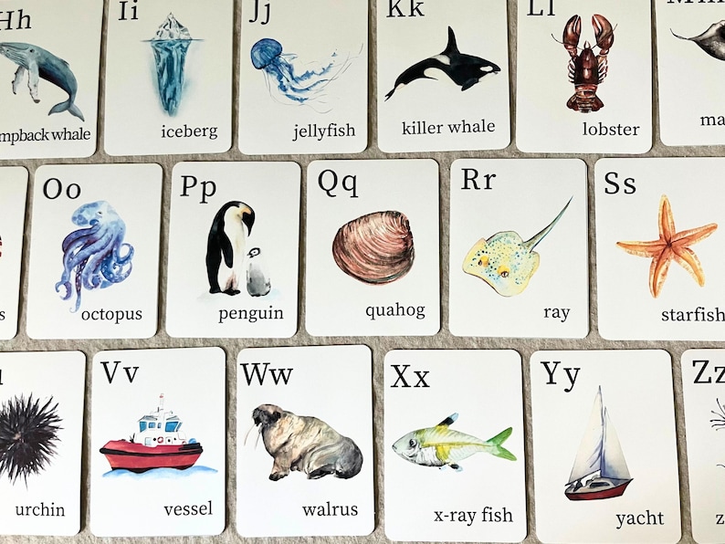 Ocean Animals Alphabet Flashcards: Watercolor ABC Cards (printable) - Etsy